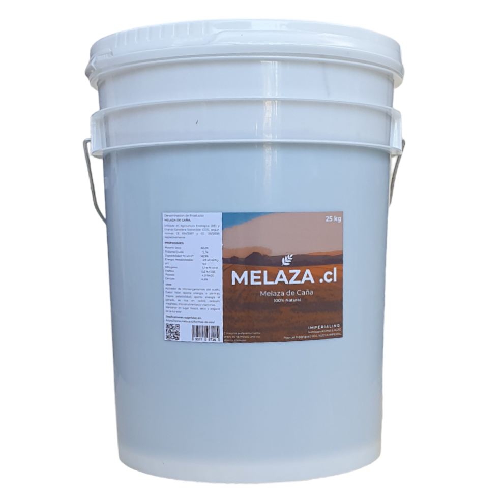 Comprar la Mejor Melaza en Chile