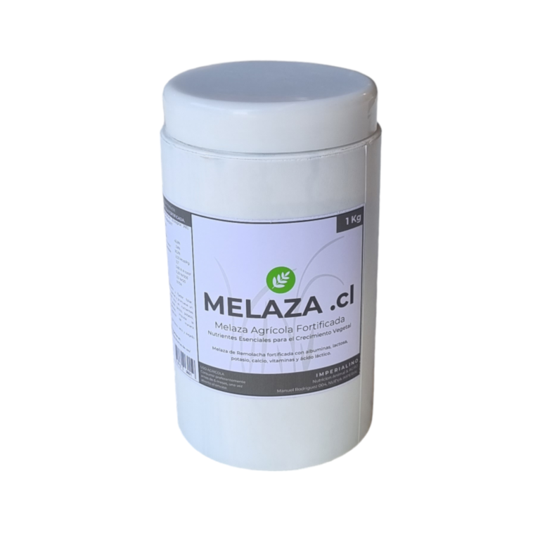 Comprar la Mejor Melaza en Chile