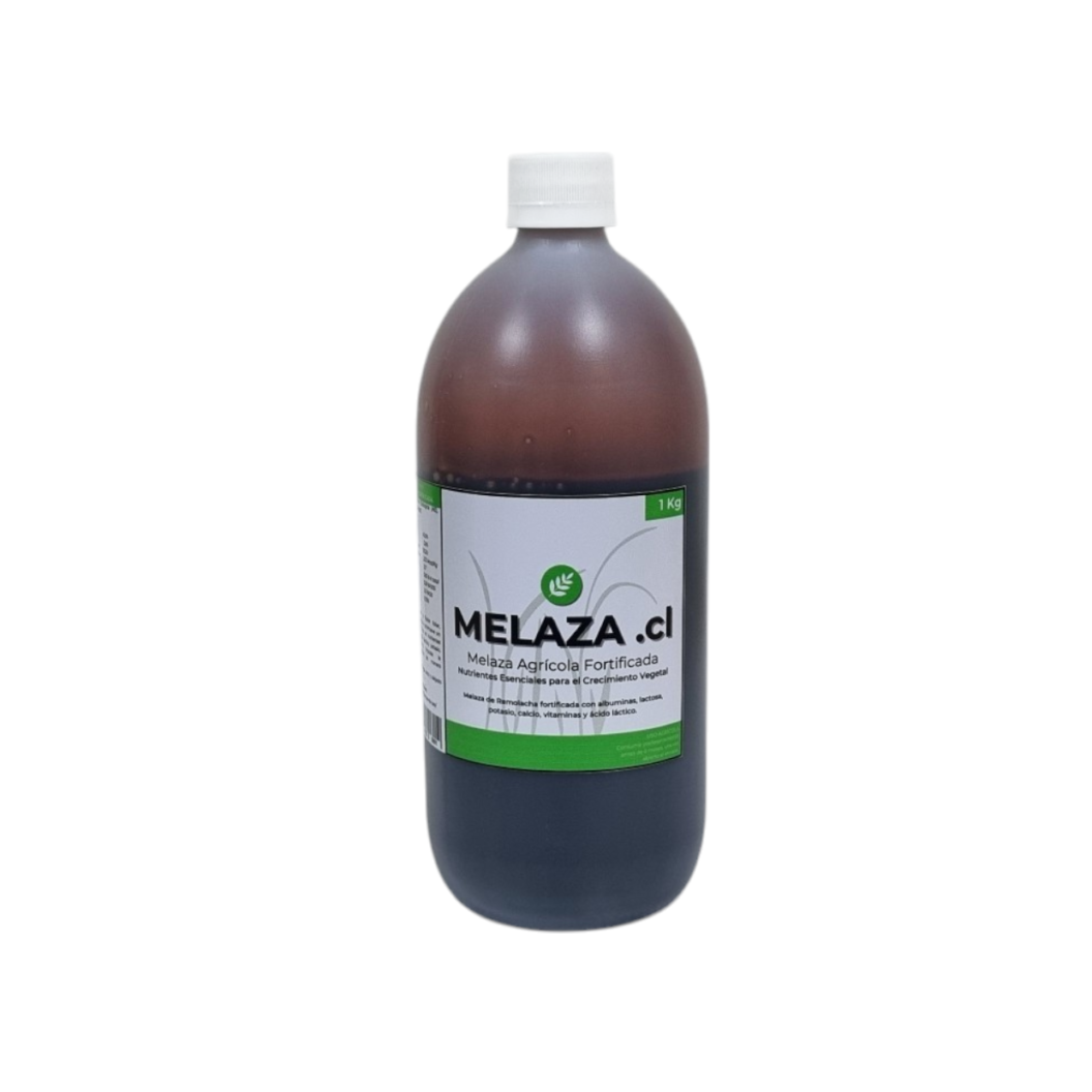 Comprar la Mejor Melaza en Chile