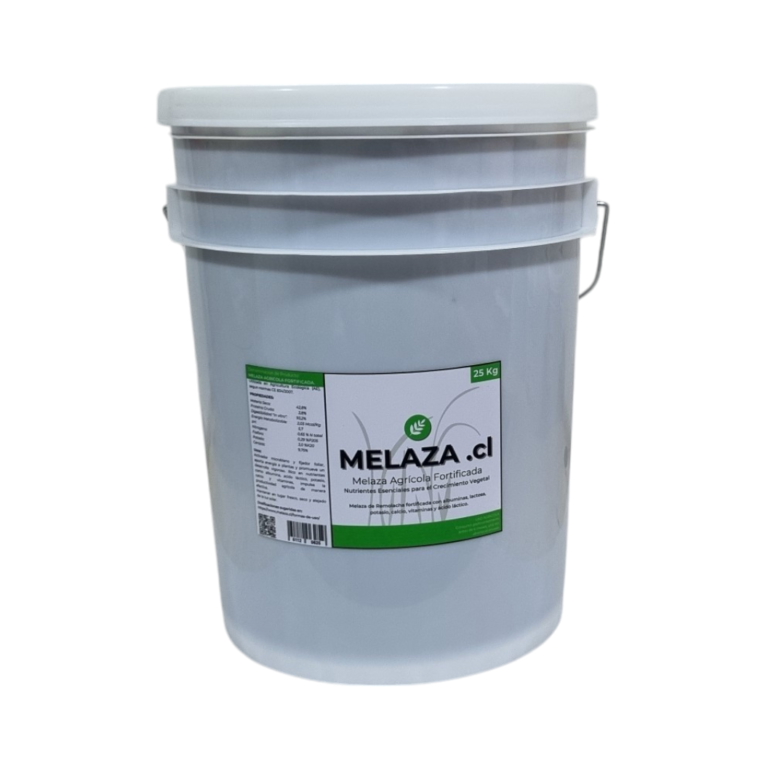 Comprar la Mejor Melaza en Chile