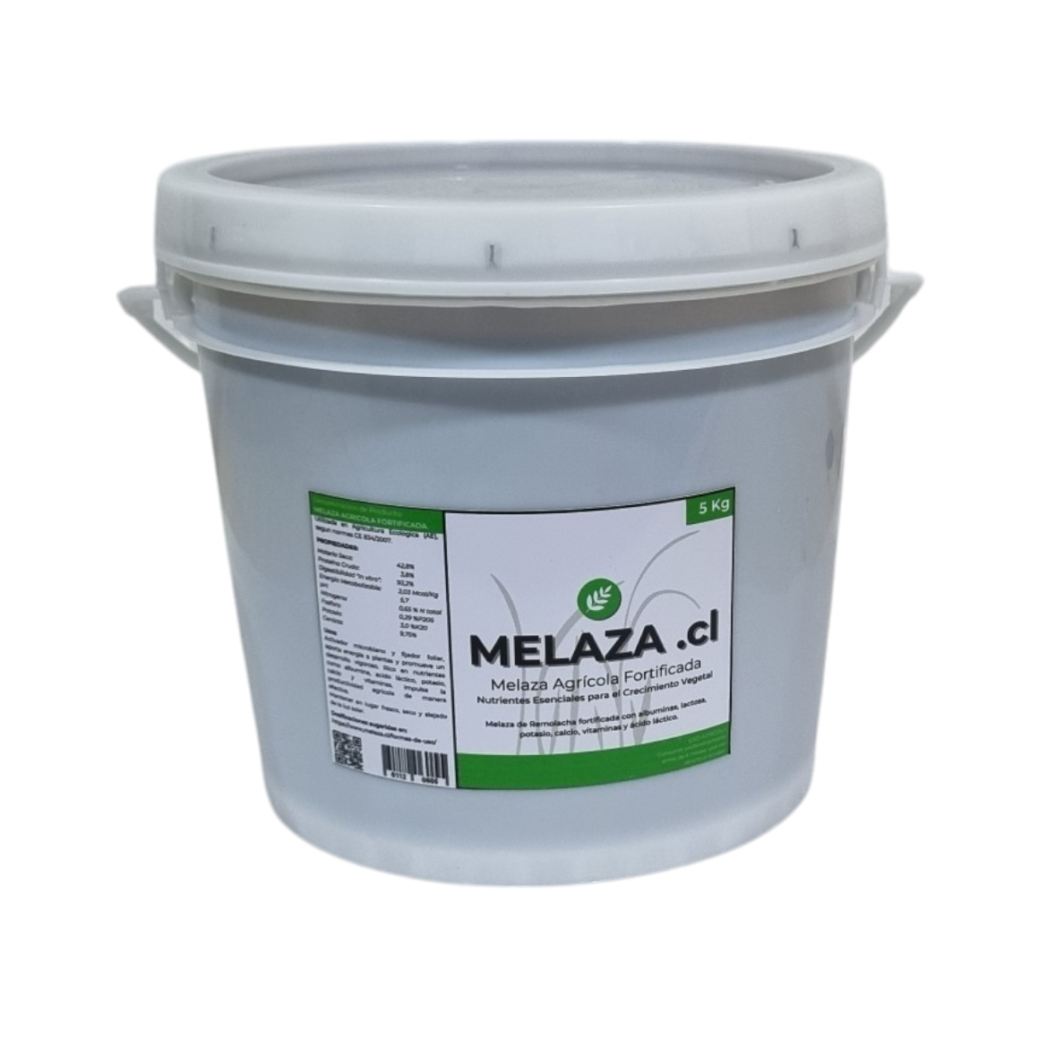 Comprar la Mejor Melaza en Chile