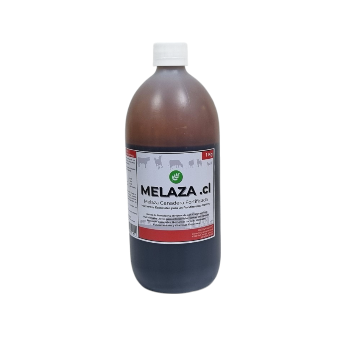 Comprar la Mejor Melaza en Chile