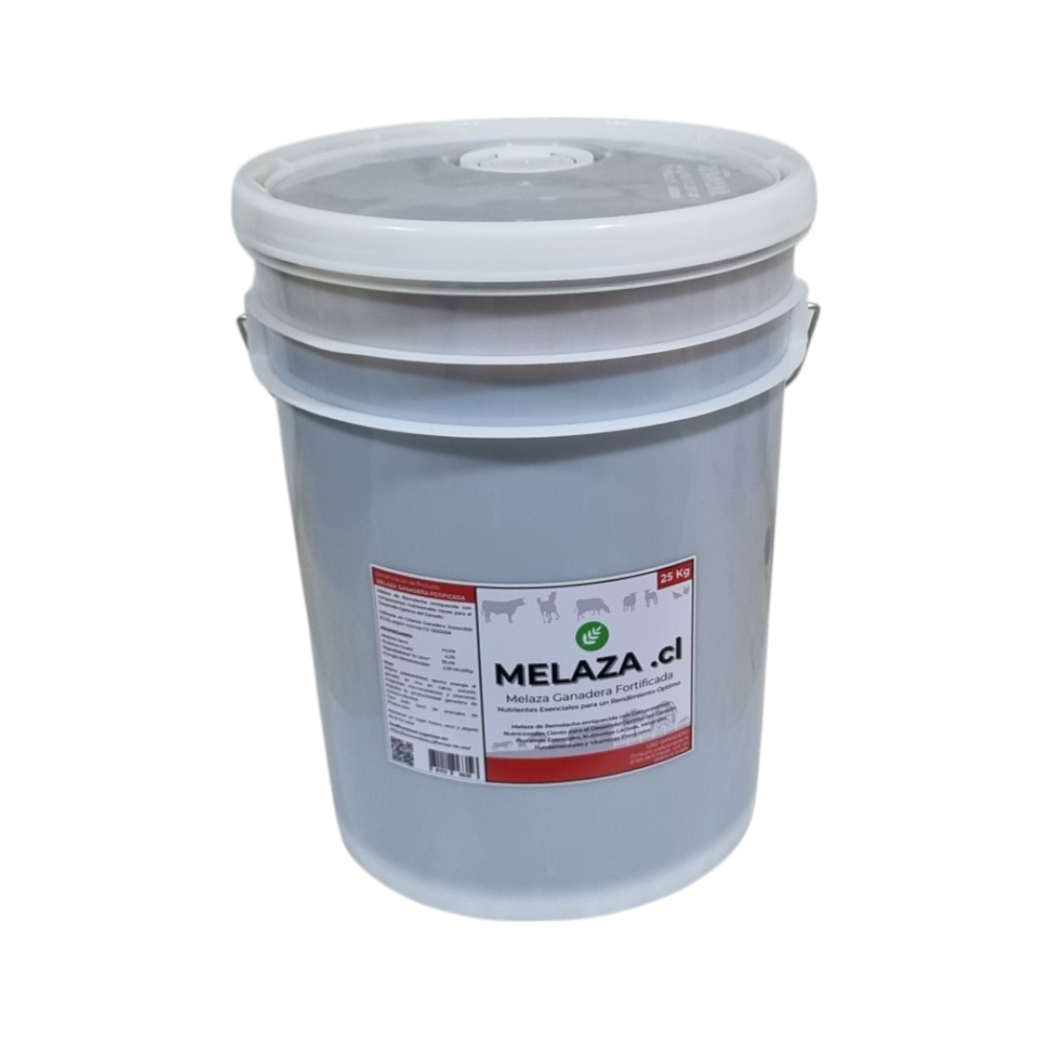 Comprar la Mejor Melaza en Chile