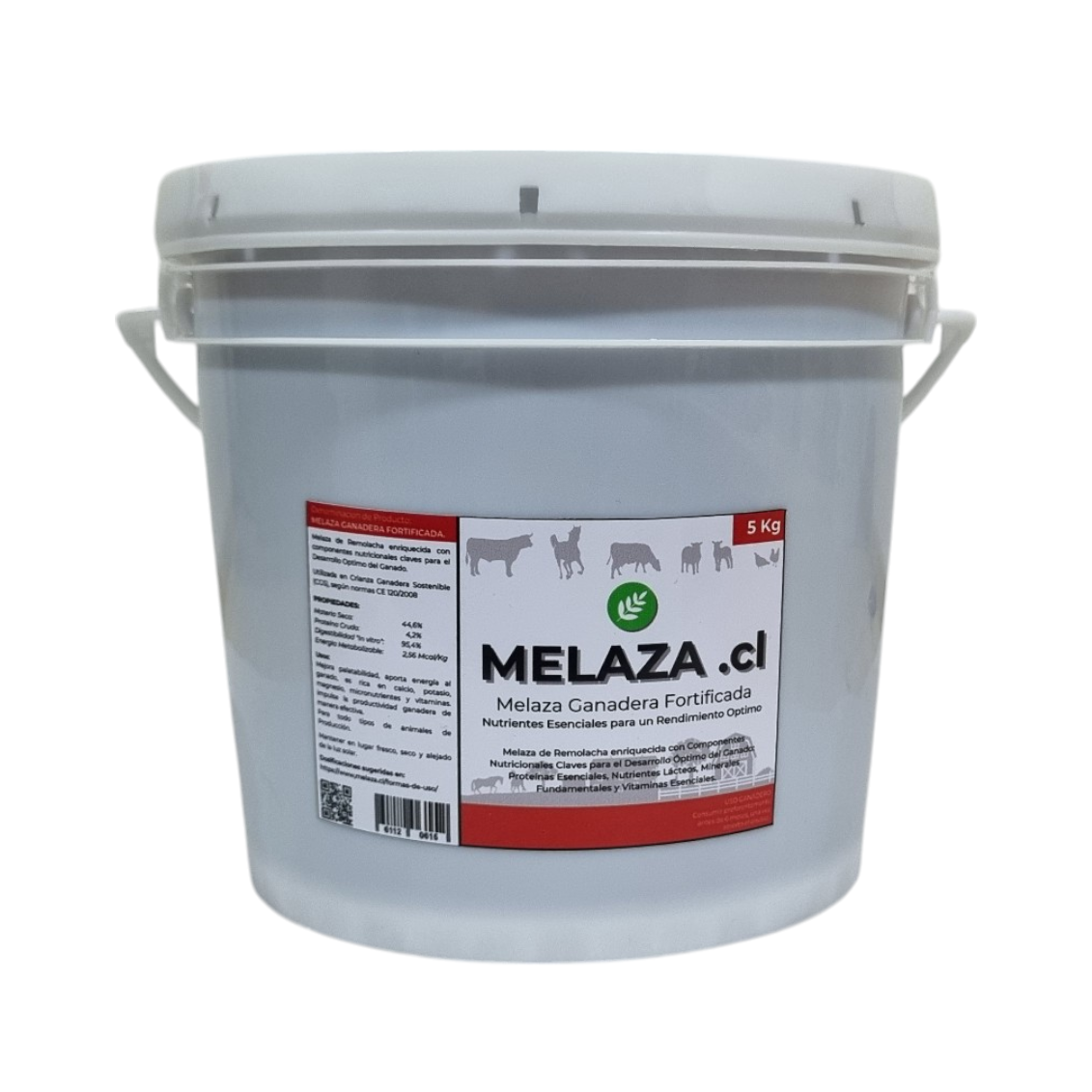 Comprar la Mejor Melaza en Chile