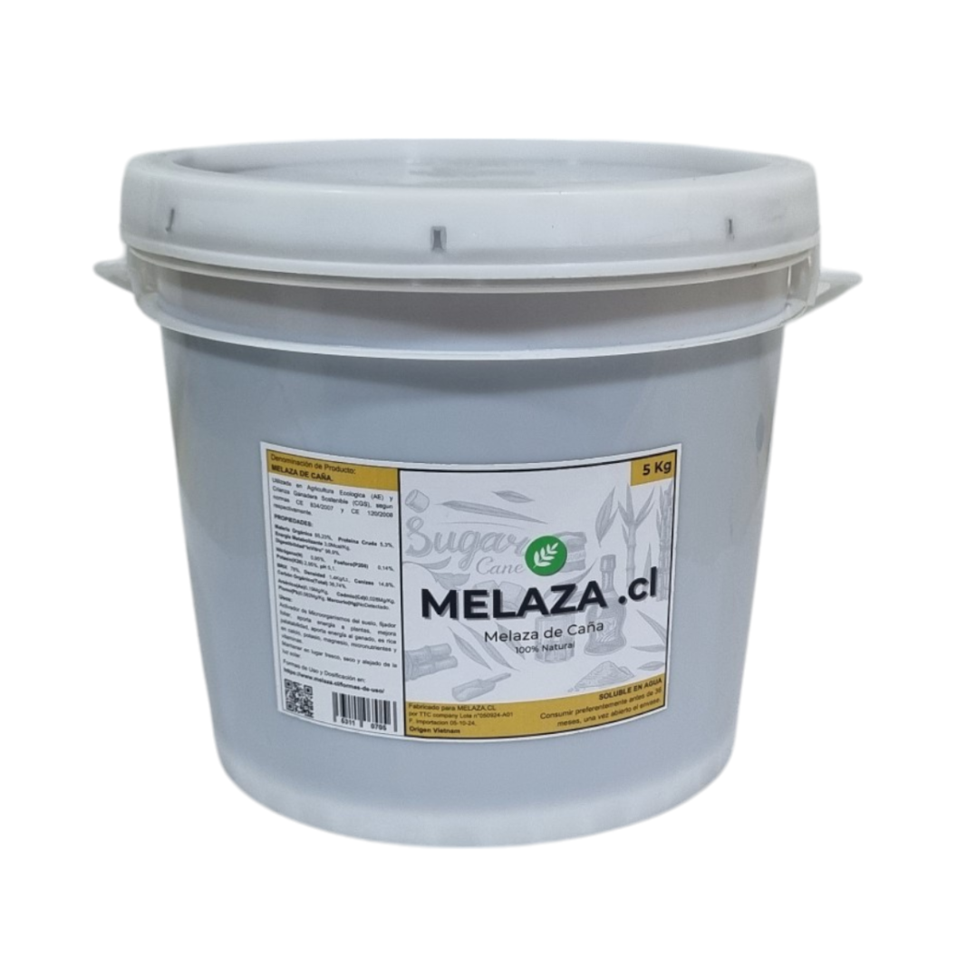 Comprar la Mejor Melaza en Chile